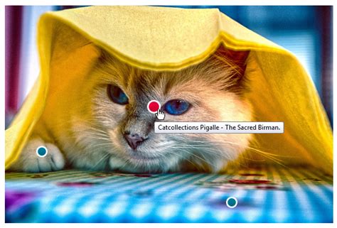 Episerver Custom Property Allowing Web Editors To Create Image Maps