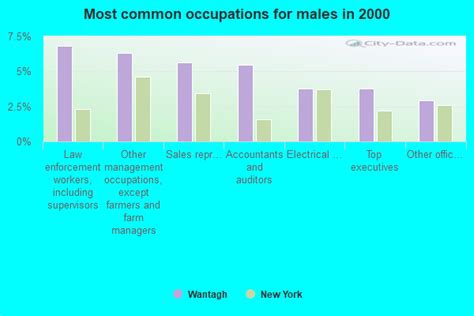 Wantagh New York Ny 11793 Profile Population Maps Real Estate