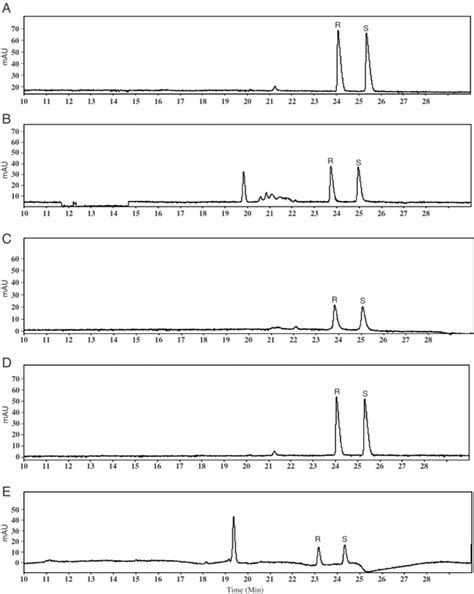 Typical Ce Electropherograms Of A Untreated Api B Oxidative