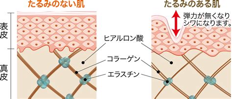 リフトワン クリアジーノ【cleargino公式】シンプル基礎化粧品ブランド