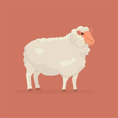 68600 Sheep Stock Illustrations Royalty Free Vector Graphics And Clip