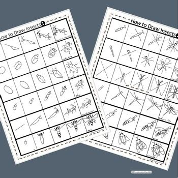 Insect Art Lessons Step By Step How To Draw Insect References Grades