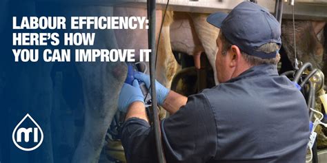 Labour Efficiency Heres How You Can Improve It