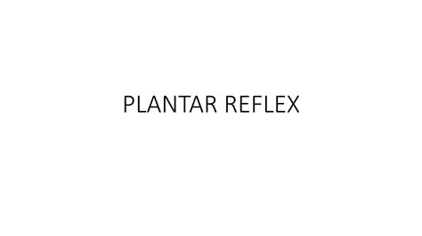 Plantar Reflex Pptx