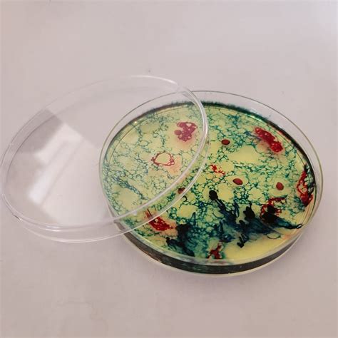 Realistic Virus Bacteria Petri Dish By Dead Head Props Halloween