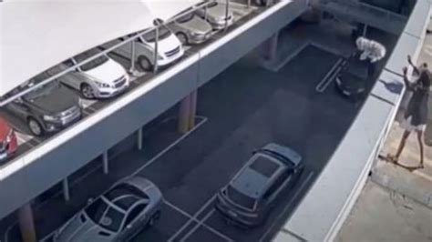 Evil Aussie Pawg Throws Her Maltese Shih Tzu Off Of Parking Garage Top