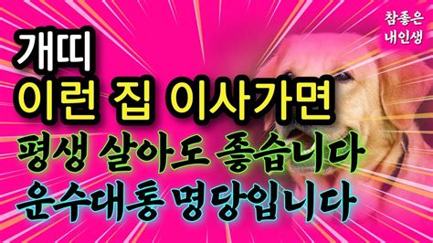 개띠 이런 집에 살고 있다면 절대 이사 나가지 마세요 천복을 끌어당기는 명당입니다🌈절대 이사가면 안되는 집 개띠운세 명당 풍수지리 개띠말년운 개띠금전운 사주풀이