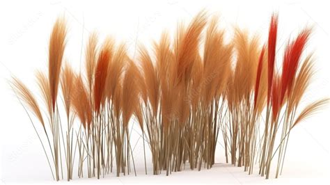 3d Model Of Various Types Of Grasses Powerpoint Background For Free Download Slidesdocs