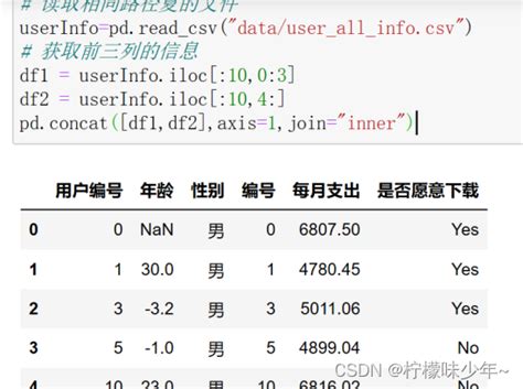第四章 pandas数据预处理 pandas数据预处理函数 csdn博客