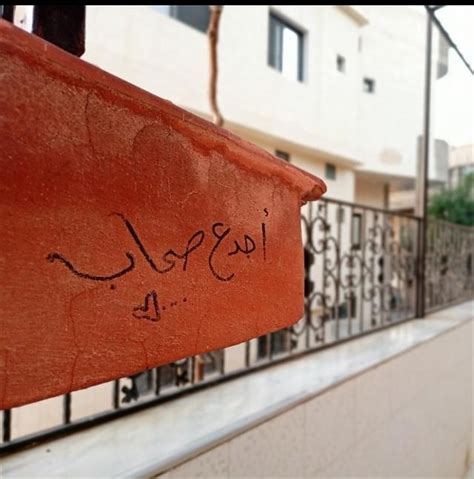 يوميات البيست فريند