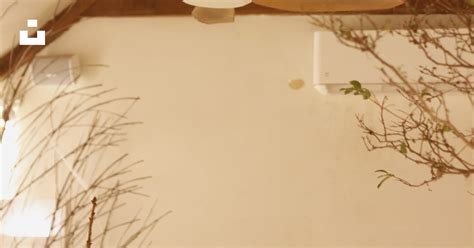 방의 천장에 설치된 천장 선풍기 사진 Unsplash의 무료 기계 이미지