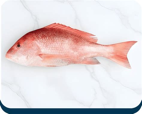 Red Snapper Fish Heera Machli Fresh Cuts