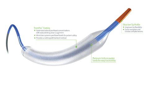 Trial Rationale Boston Scientific