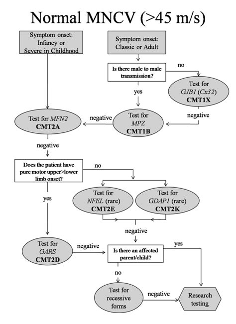 Algorithm To Guide Genetic Testing For Cmt In Patients With Normal Download Scientific Diagram
