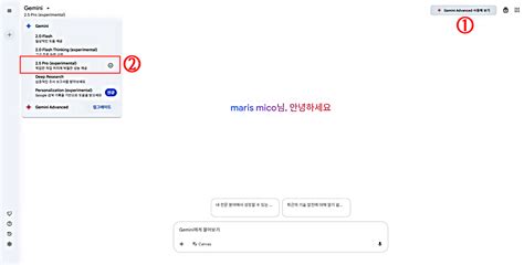 무료 구글 제미나이 25 프로 사용법│논문 작성 활용법
