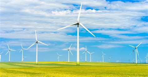 The Inventors Paradox For Apis