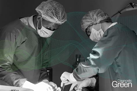 Icg Fluorescence And Ultrasound In Liver Ablation