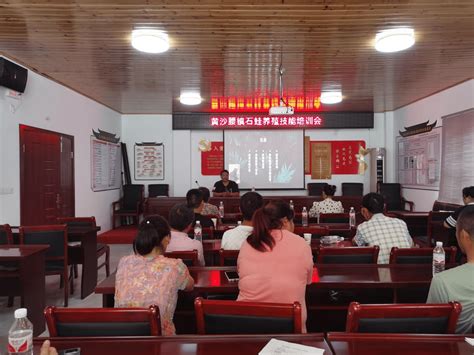 产业技能小课堂 催生共富大效应 丽水频道