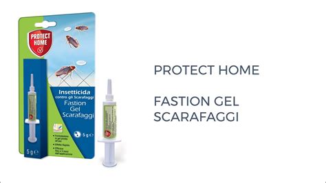 Protect Home Fastion Gel Scarafaggi 5g YouTube