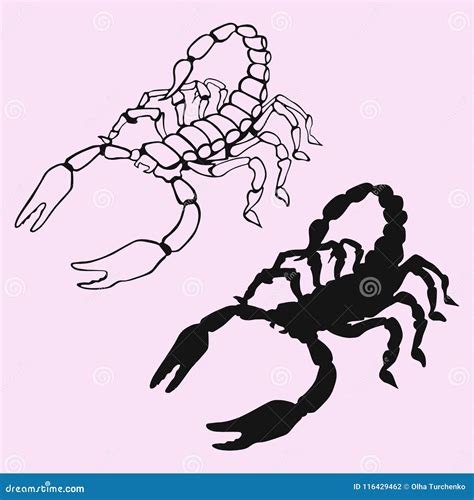 Scorpion Silhouette Vector Isolated Stock Vector Illustration Of Scorpion Draw