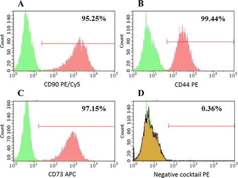 Immunophenotyping By Surface Markers Cd Markers Of Hadsc Green Download Scientific Diagram