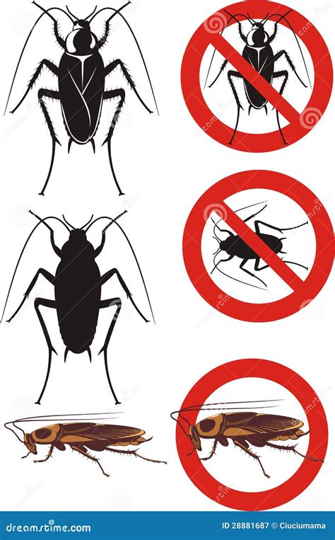 Cockroach Warning Signs Stock Vector Illustration Of Pesticide