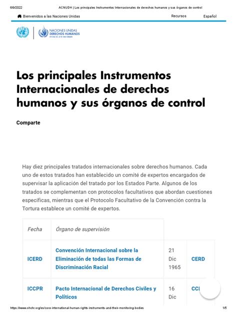 Acnudh Los Principales Instrumentos Internacionales De Derechos