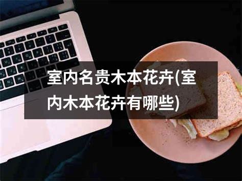 室内吊篮花卉图片 室内吊兰怎么养才能更旺盛 养花经验