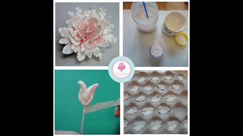 Gumpaste Peony Flowers Tutorial Best Flower Site