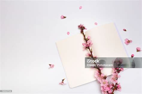 노트북을 모의 하 고 흰색 바탕에 꽃과 살구 나무의 잔 가지 텍스트를 배치 합니다 봄의 개념은 행복 한 부활절 어머니의 날이