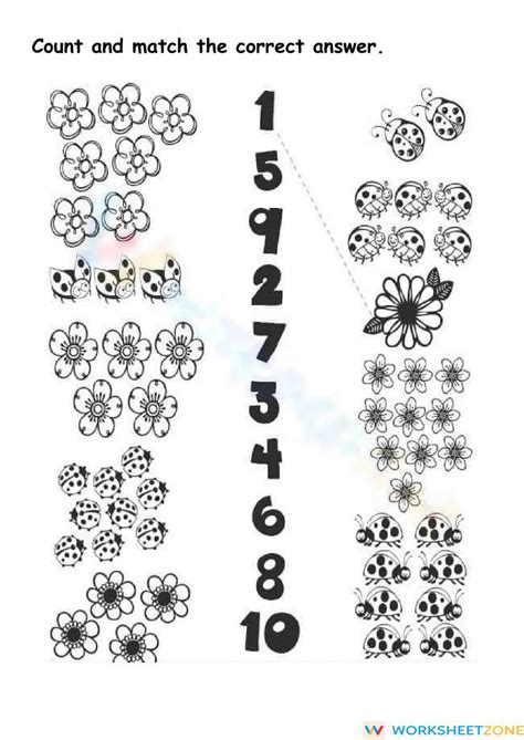 Count And Match Worksheet