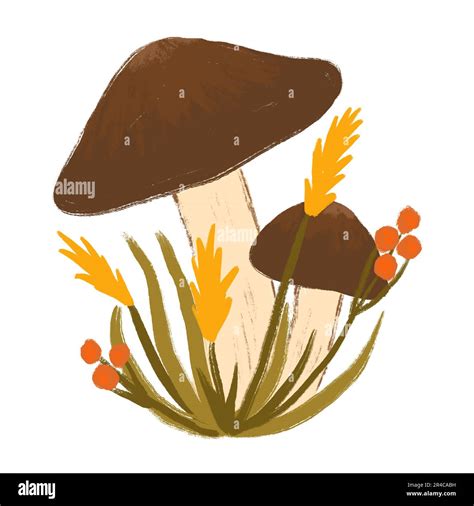 Hand Drawn Illustration Of Summer Brown Mushroom With Grass Herbs