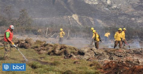 Último Balance De Incendios Forestales A Nivel Nacional Siniestros