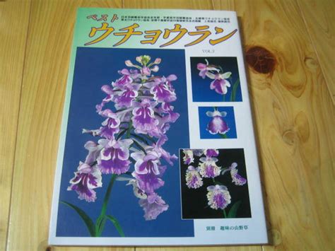 Yahoo オークション ベスト ウチョウラン VOL 2 別冊 趣味の山野草