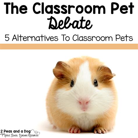 The Controversial Classroom Pet Debate 2 Peas And A Dog