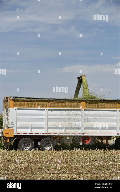 Buckeye Az Usa Claas Jaguar 980 Forage Harvester And Crane Tractor