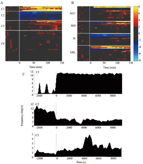 Temporal Distribution Pattern Of Spontaneous Neuronal Activity Before