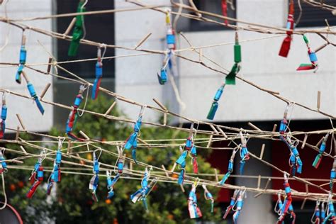 Toothbrushes Hanging On A Tree Branch