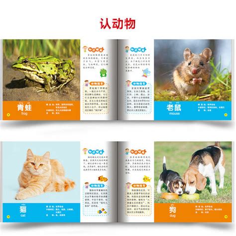 2021 6 권세트 아기 인식 자동차 로고 국기 백과 사전 유치원 도서 유치원 교육 조기 교육 Livros 책
