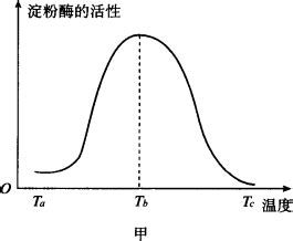 某些制糖厂用淀粉做原料进行工业制糖 其技术基本要求是 调节温度来影响淀粉酶的活性 图甲表示温度对淀粉酶活性的影响 图乙表示一定量的淀粉酶在催化