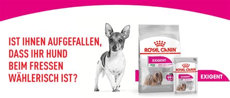 Royal Canin Exigent Mousse купить | zoochic