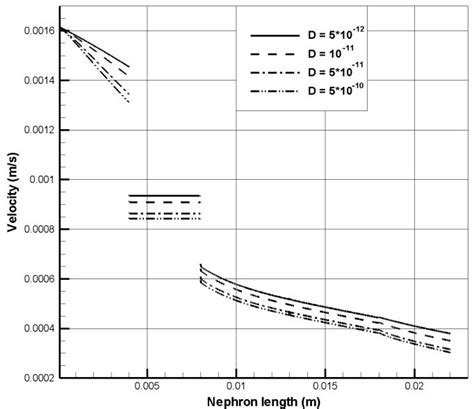 Effect Of Diffusion Coefficient Of The Outer Medullary Interstitium On Download Scientific