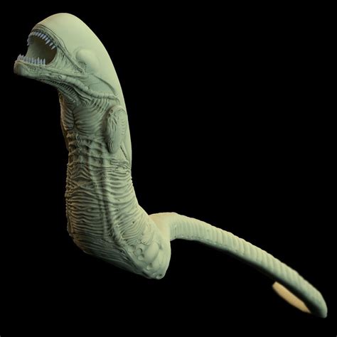 Chestburster 3d Models Download Free3d