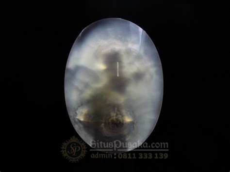 Batu Mustika Bajang Lapuk Kuat Seks Situs Pusaka Indonesia