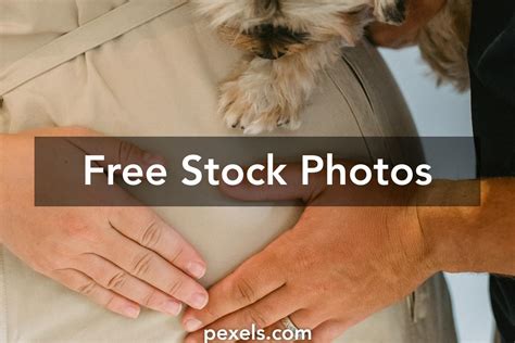Future Animation Photos Download The Best Free Future Animation Stock