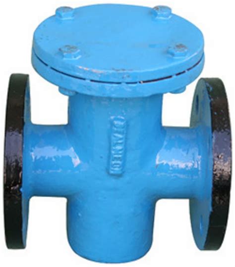Flanged End Cast Iron T Type Strainer At Best Price In Ahmedabad