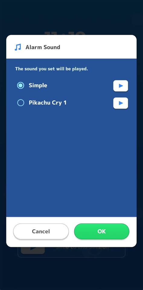 Can You Add A Custom Alarmadd More Than The Basic Two R