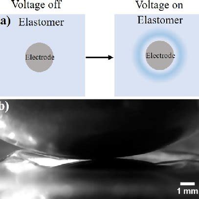 Bubble Structure Actuation Mechanism A Schematics Of A Sample Download Scientific Diagram