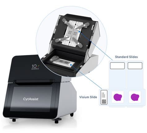 Visium Spatial Platform 10x Genomics