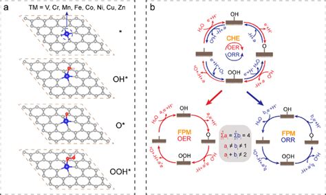 A Geometric Structures Of Transition Metal Doped 5 × 5 Graphene